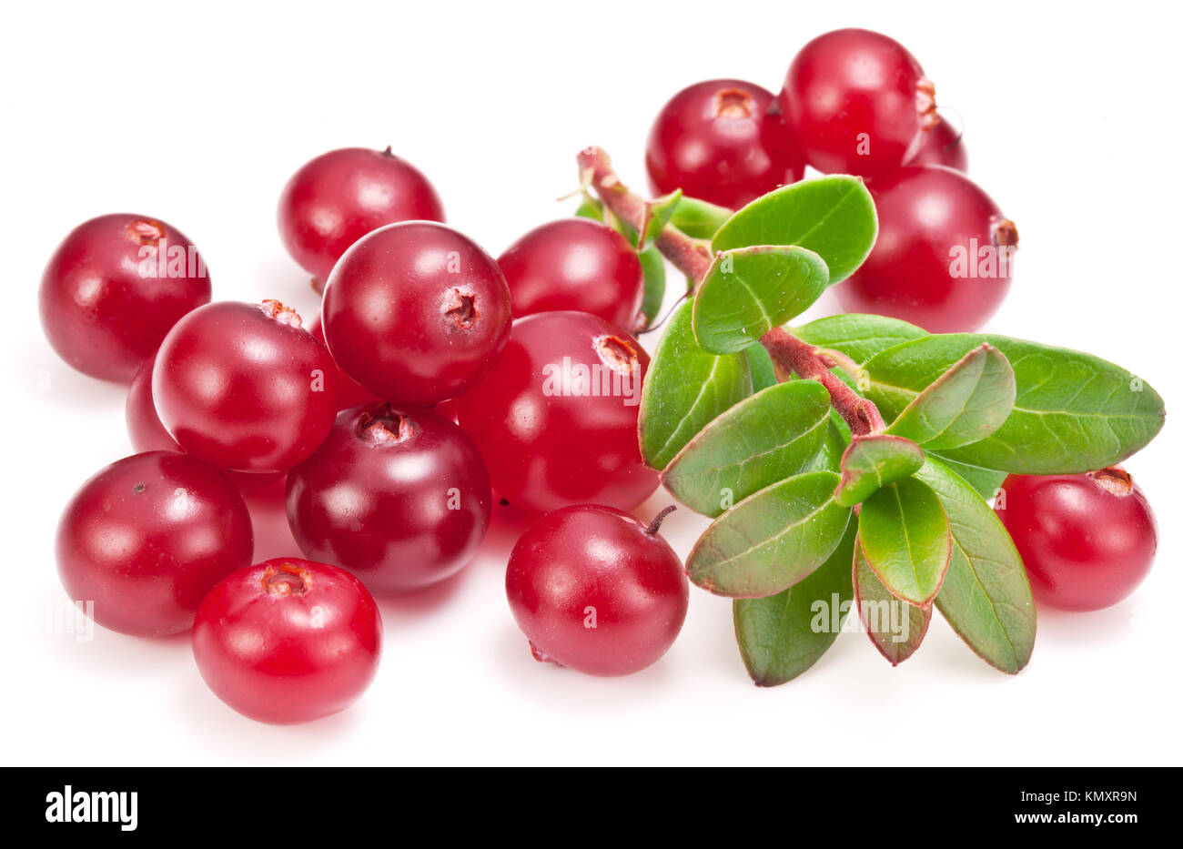 Ripe cranberries and green leaves on the white background Stock Photo ...