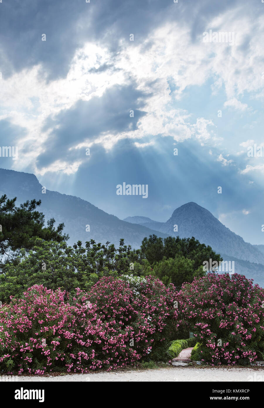 Slanting rays hi-res stock photography and images - Alamy