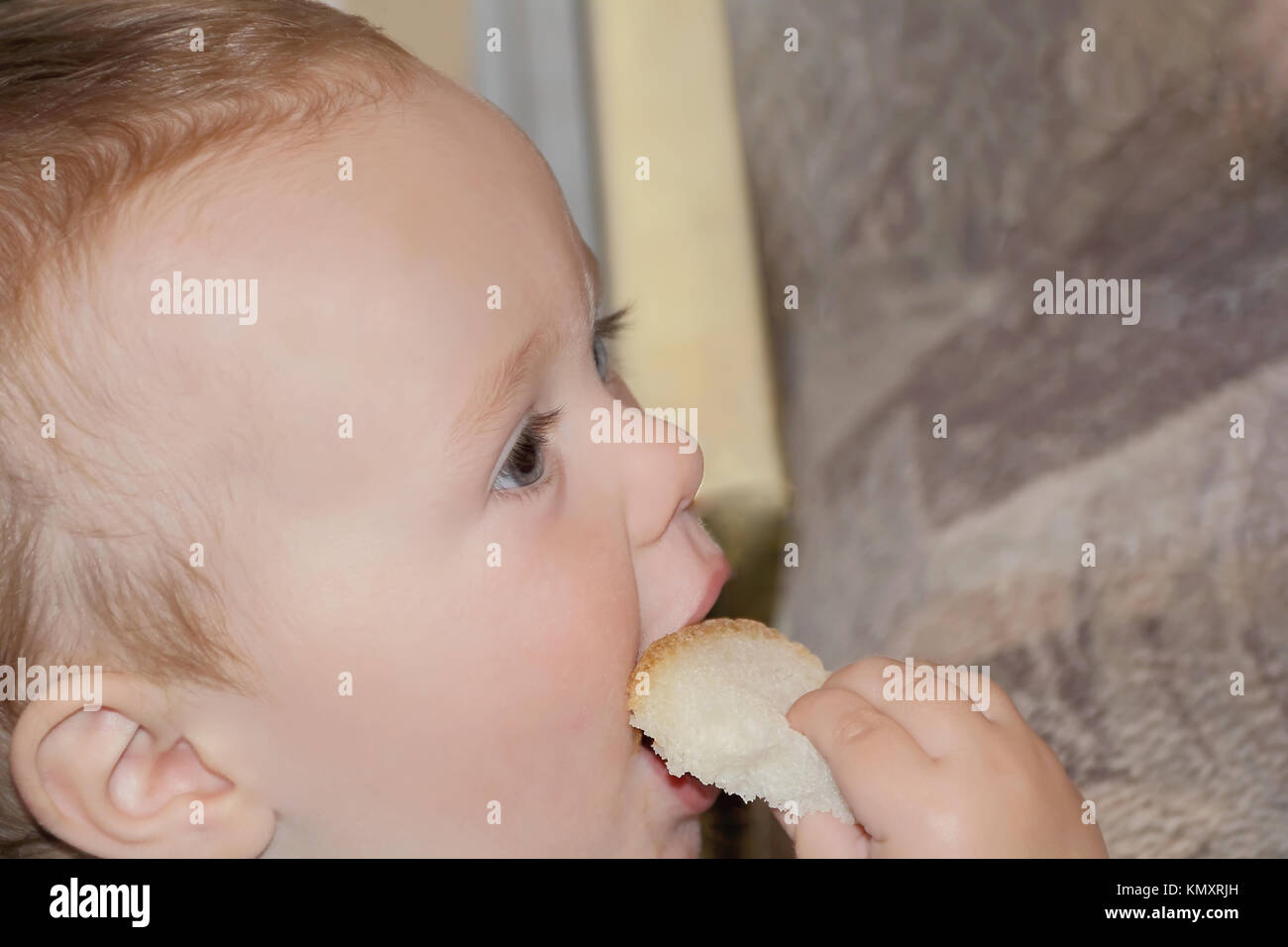 Image of cute baby boy eating bread Stock Photo - Alamy