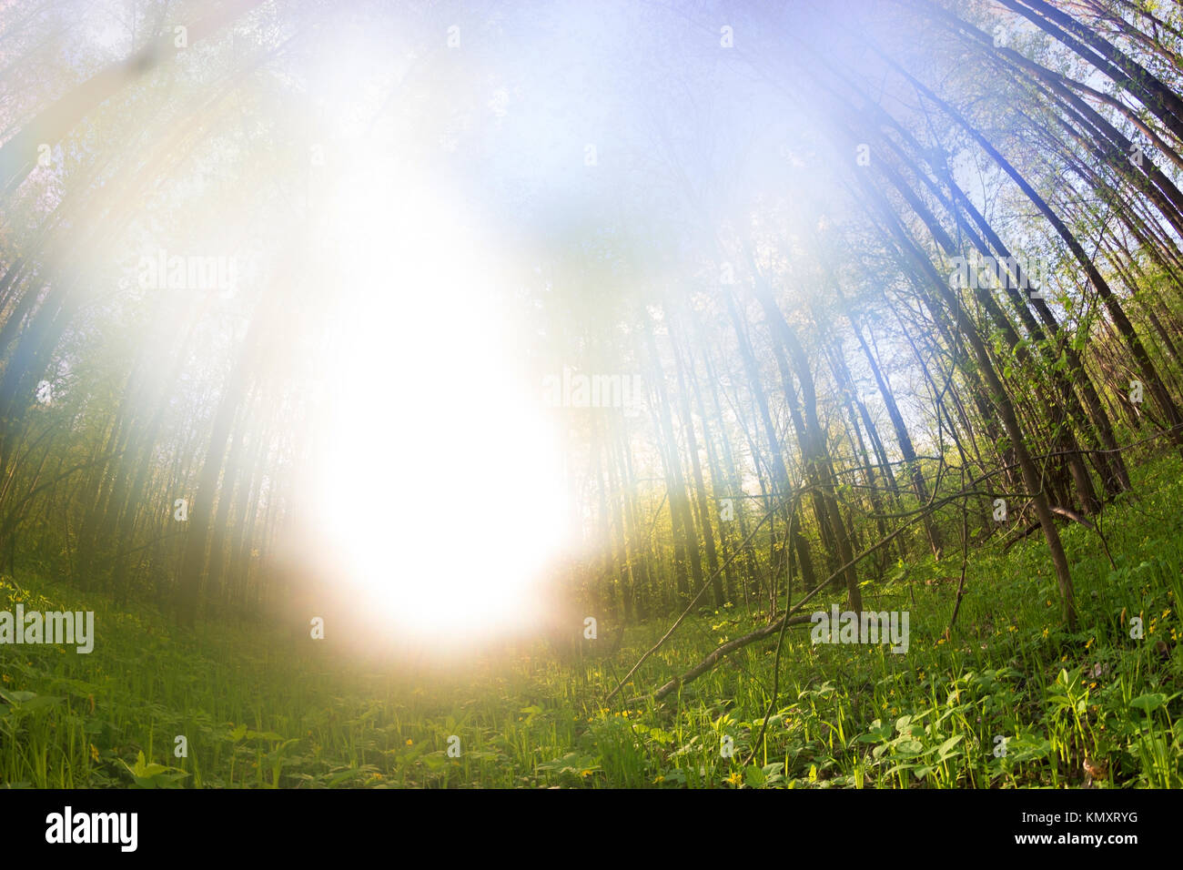 Paronormal hi-res stock photography and images - Alamy