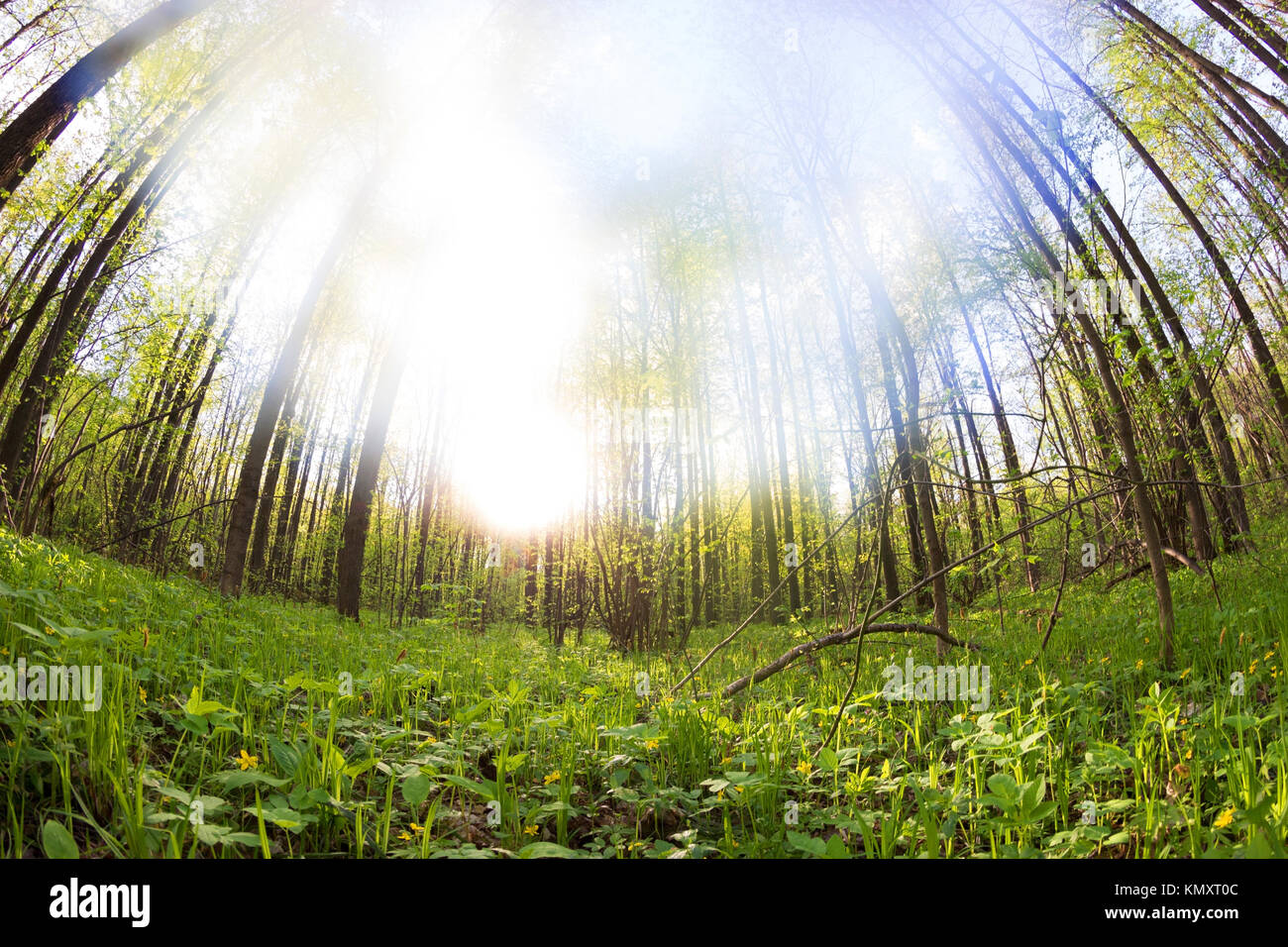 Paronormal hi-res stock photography and images - Alamy