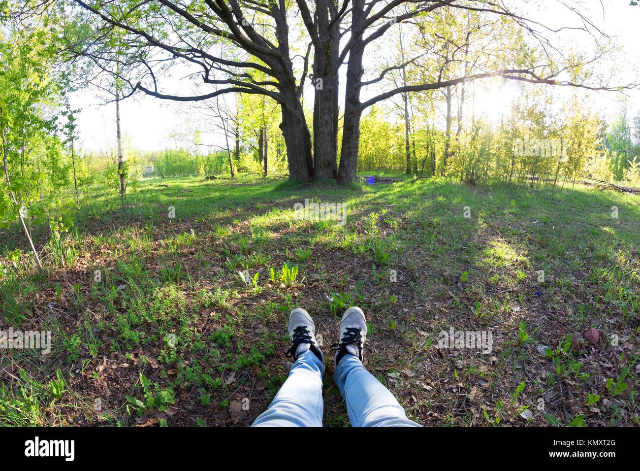 woman legs in sneaker. lay on green grass Stock Photo - Alamy