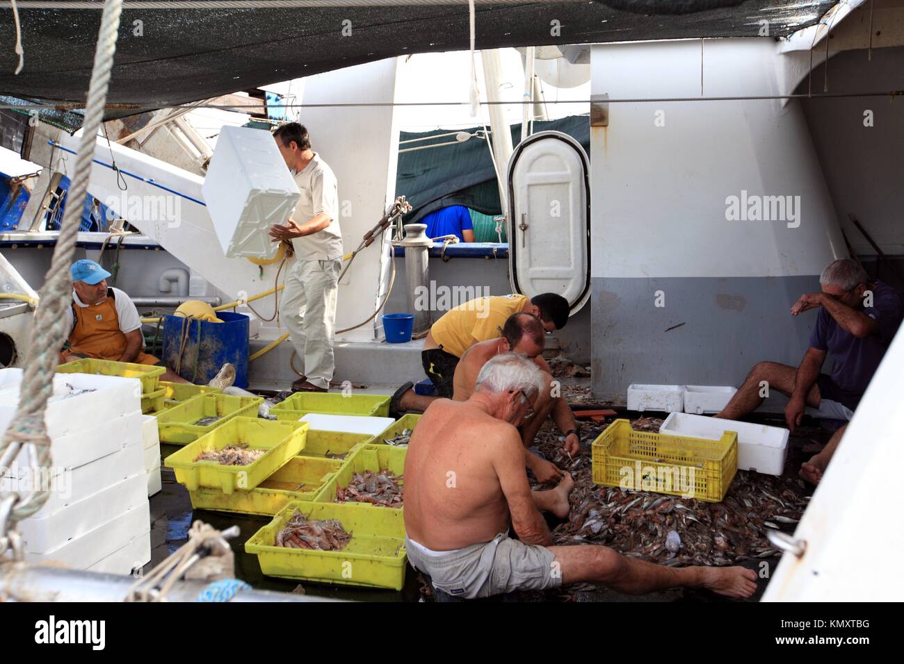 Fish Landing Port High Resolution Stock Photography and Images - Alamy