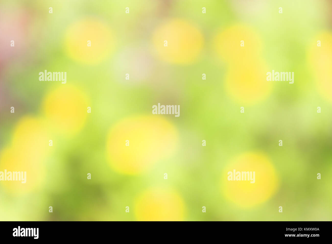 early spring. unfocused blurred yellow flowers background Stock Photo ...