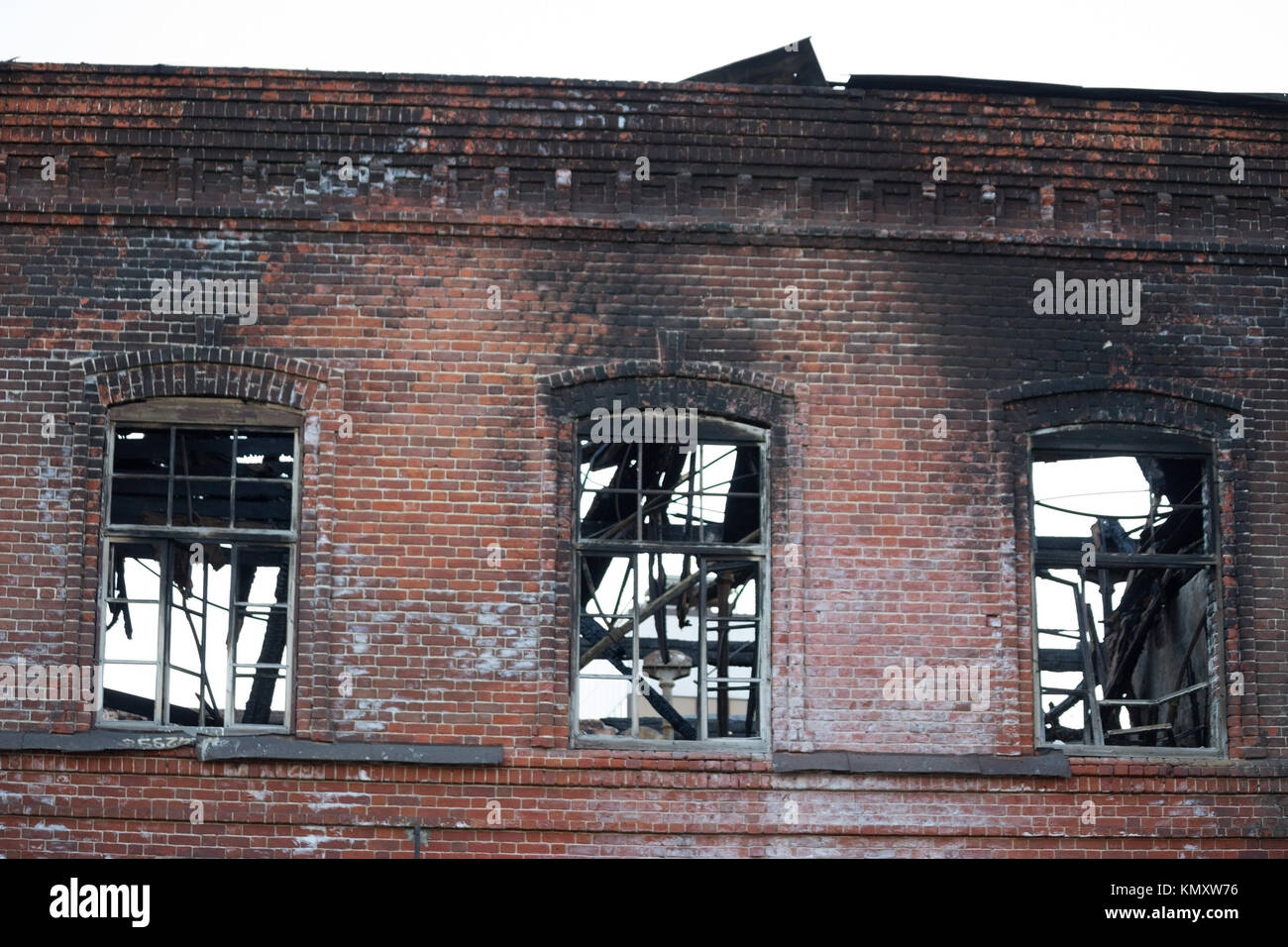Burned leaves after wildfire hi-res stock photography and images - Alamy