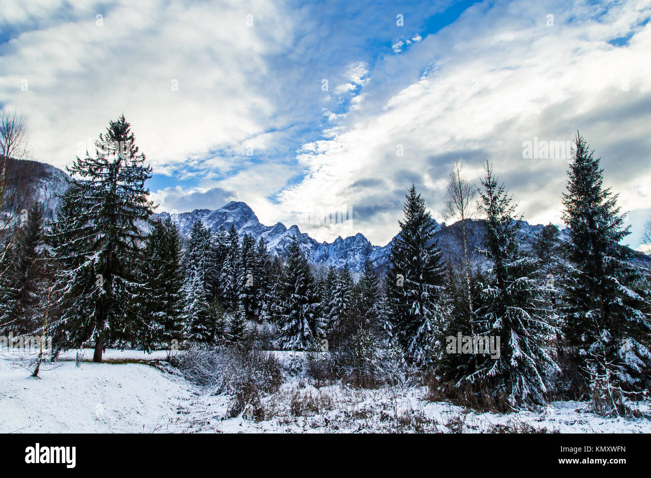 First snow of the winter in the italian alps Stock Photo - Alamy