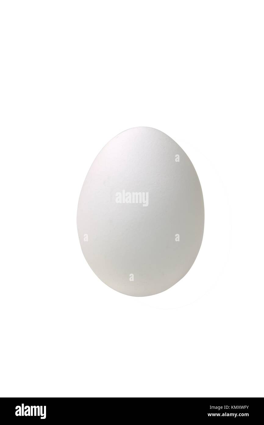 White chicken egg, includes clipping path Stock Photo - Alamy