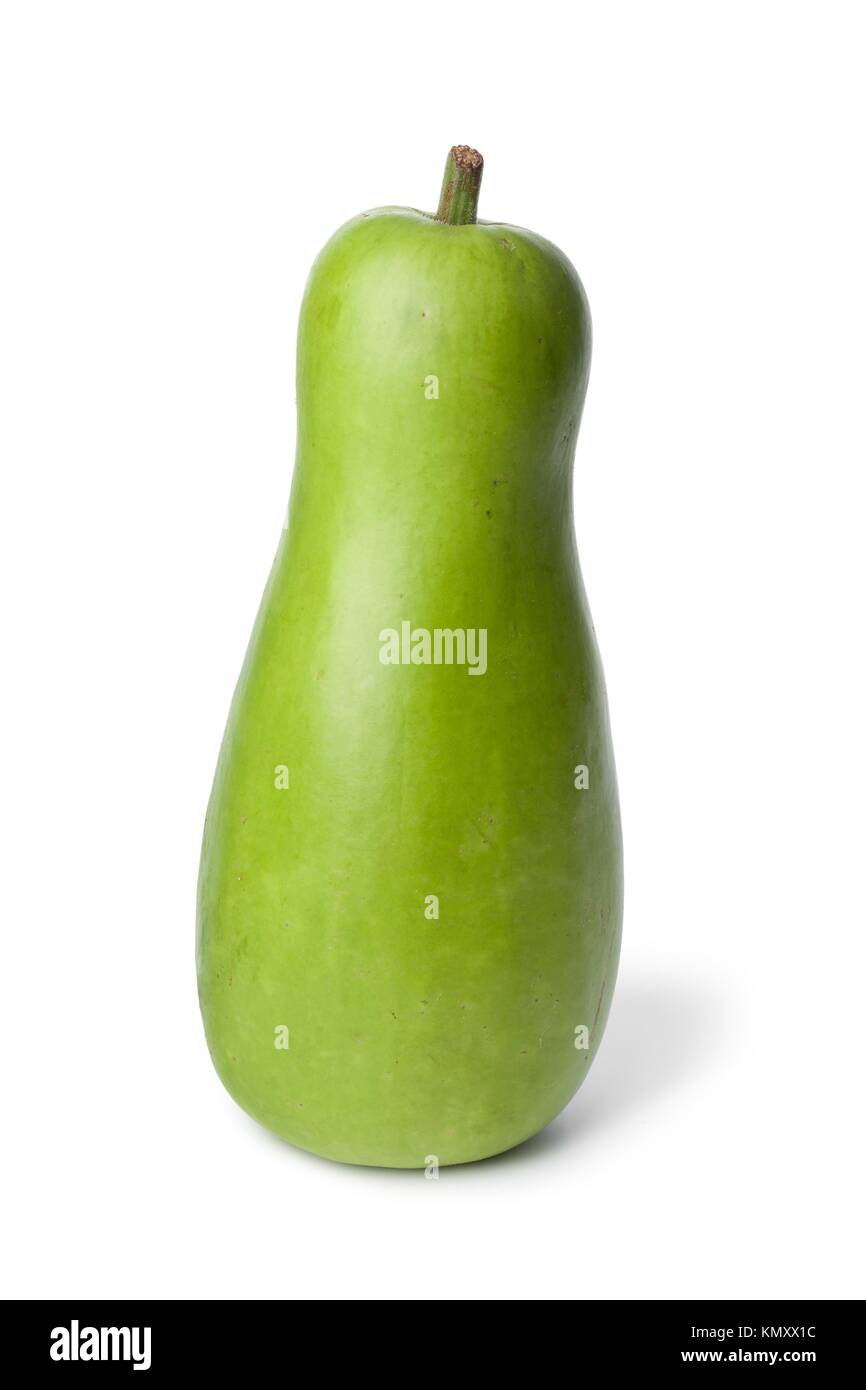 Bottle Gourd Clipart