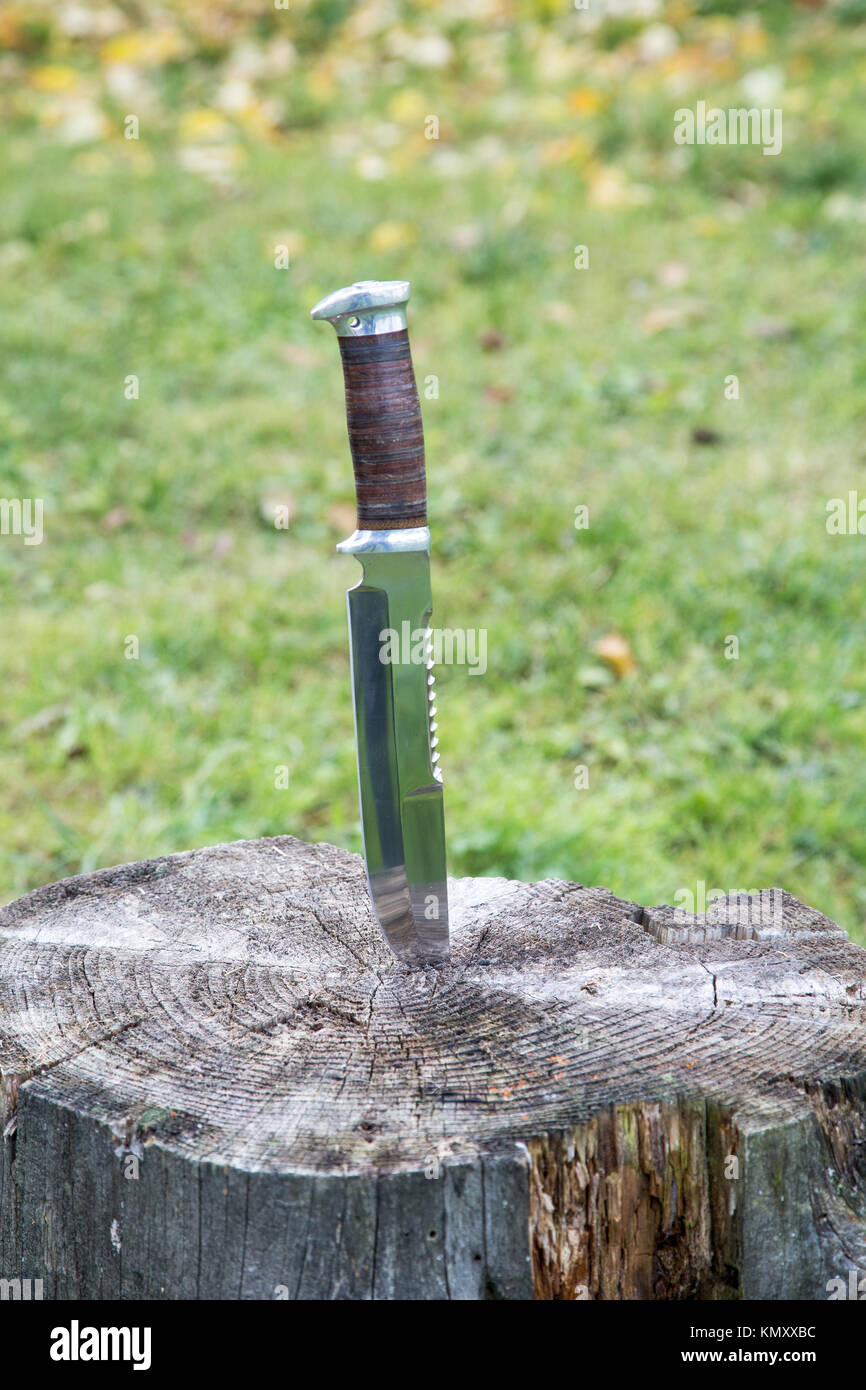 hunting knife on a fallen tree in the woods Stock Photo - Alamy