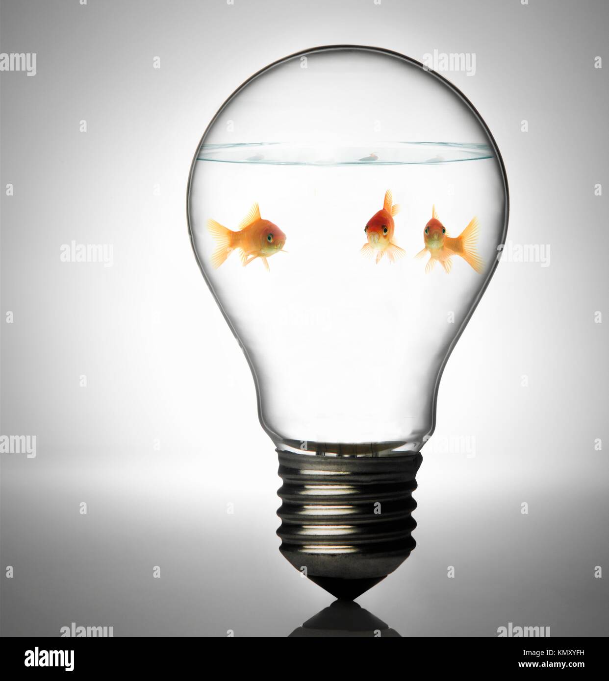 Light bulb and fish Stock Photo - Alamy