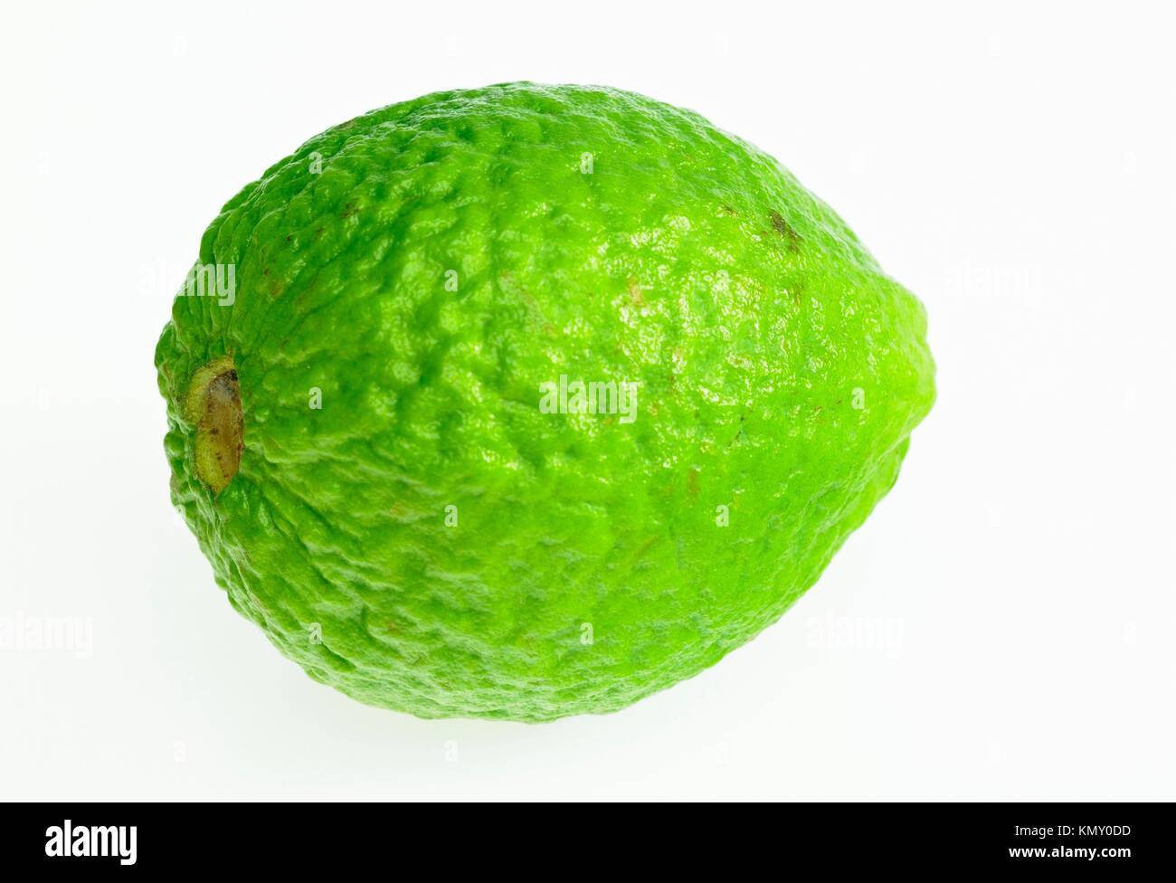 Inside green guava hi-res stock photography and images - Alamy