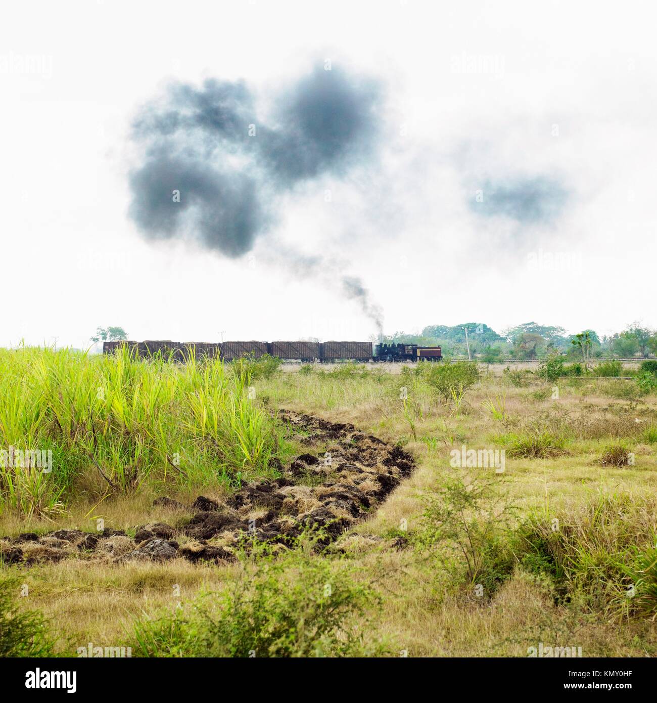 Steam Locomotive Sugar Cane Train High Resolution Stock Photography and ...