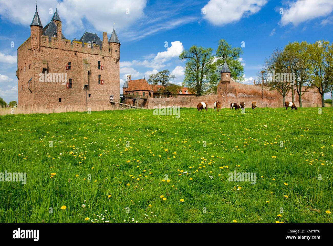 Doornenburg castle hi-res stock photography and images - Alamy