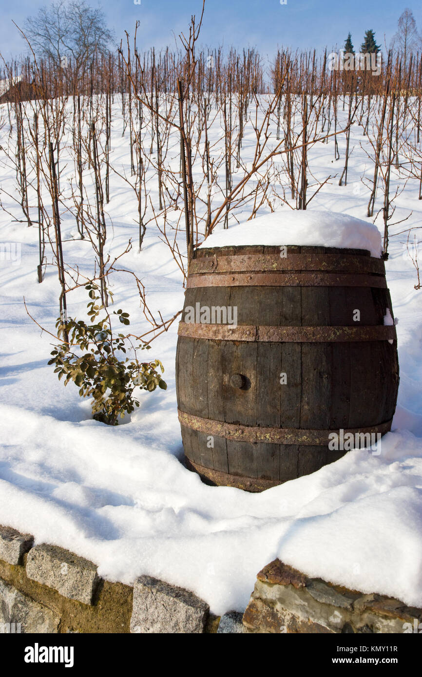 barokni zamek, Troja, Praha, Ceska republika / baroue Troja castle ...