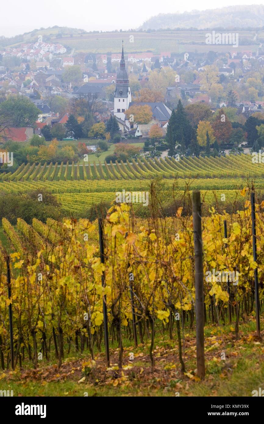 Oppenheim Church Stock Photos & Oppenheim Church Stock Images - Alamy