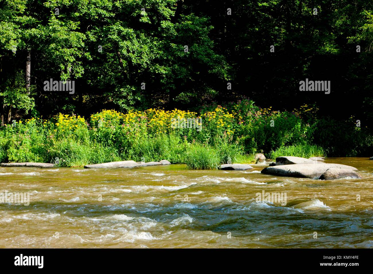 Sazava River Stock Photos & Sazava River Stock Images - Alamy