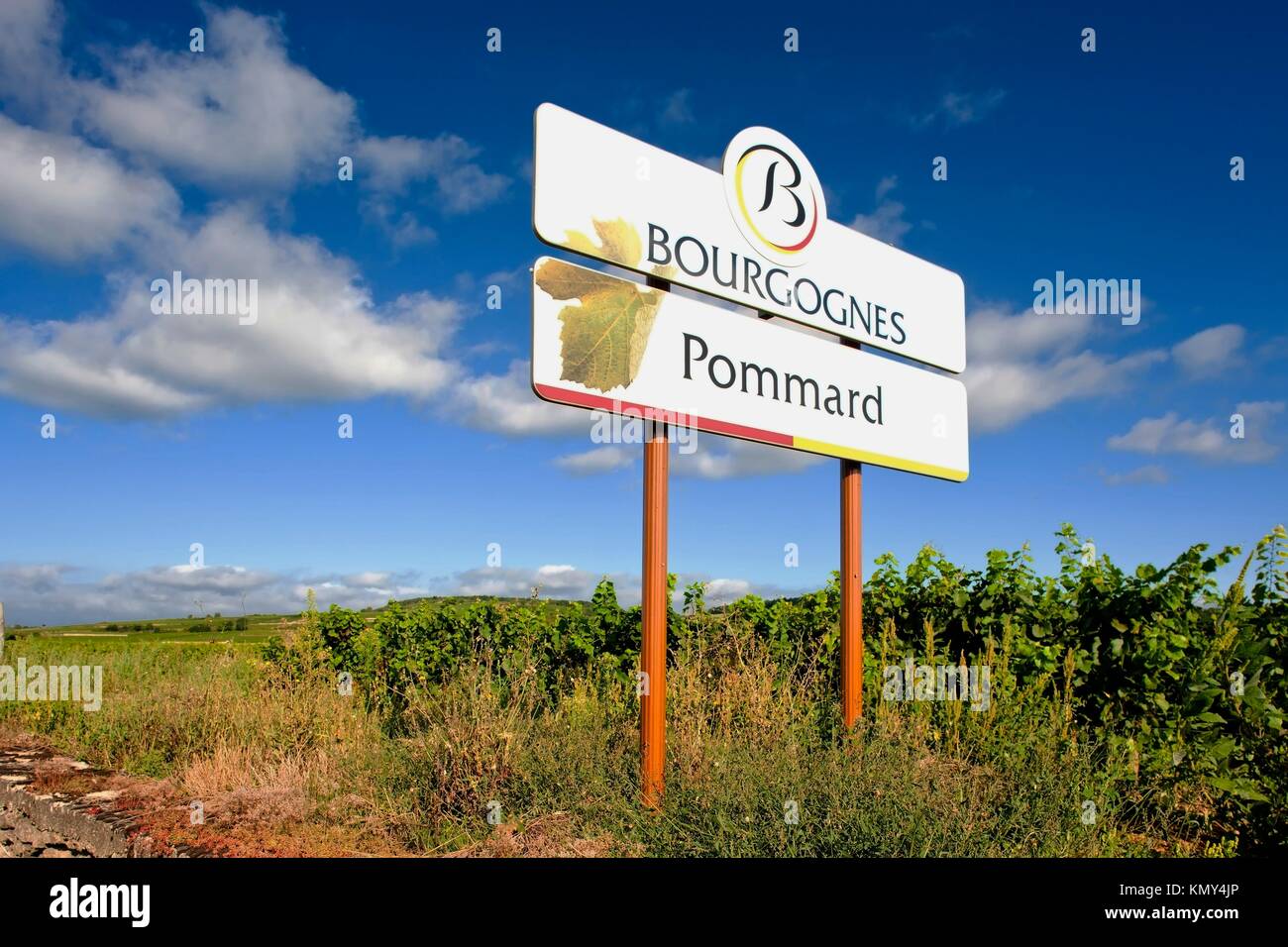 Pommard Grape High Resolution Stock Photography and Images - Alamy
