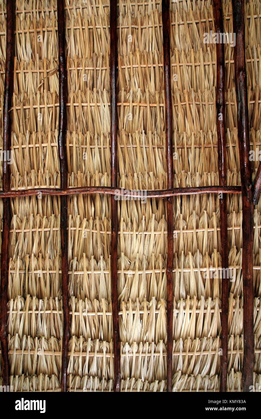 Dried palm tree leaves roof hi-res stock photography and images - Alamy