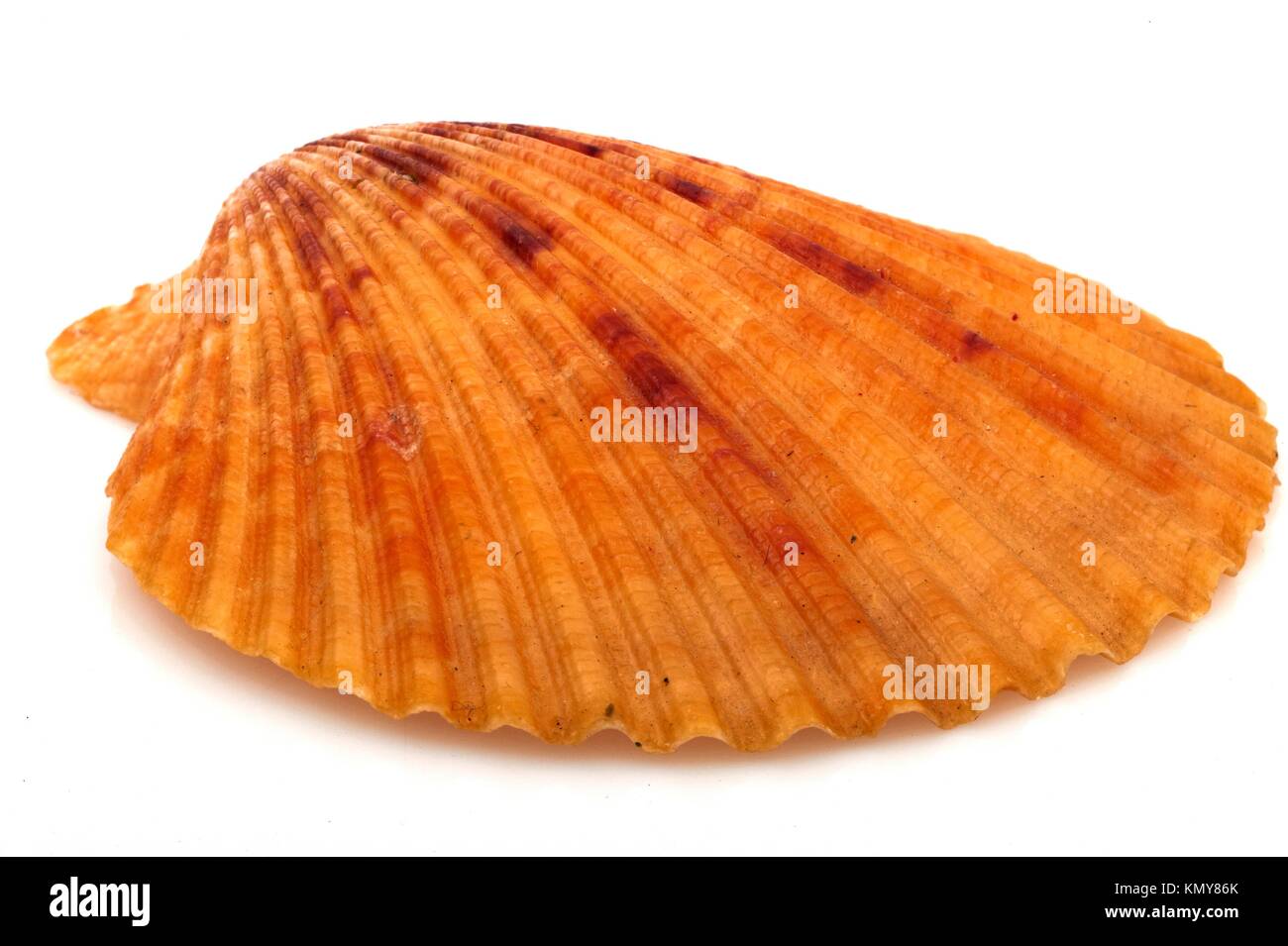 Strandlines hi-res stock photography and images - Alamy