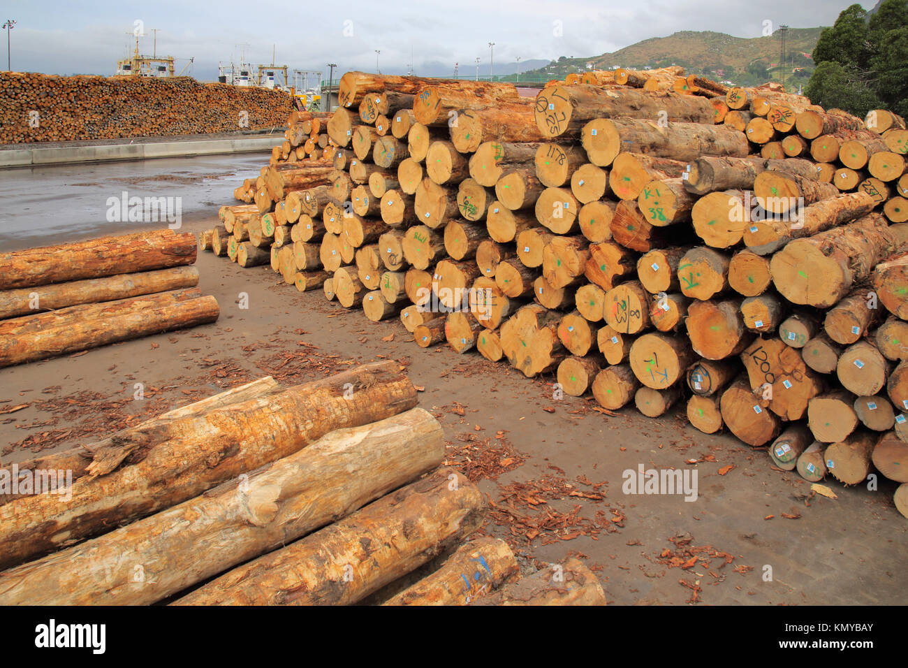 Lyttleton new zealand hi-res stock photography and images - Alamy