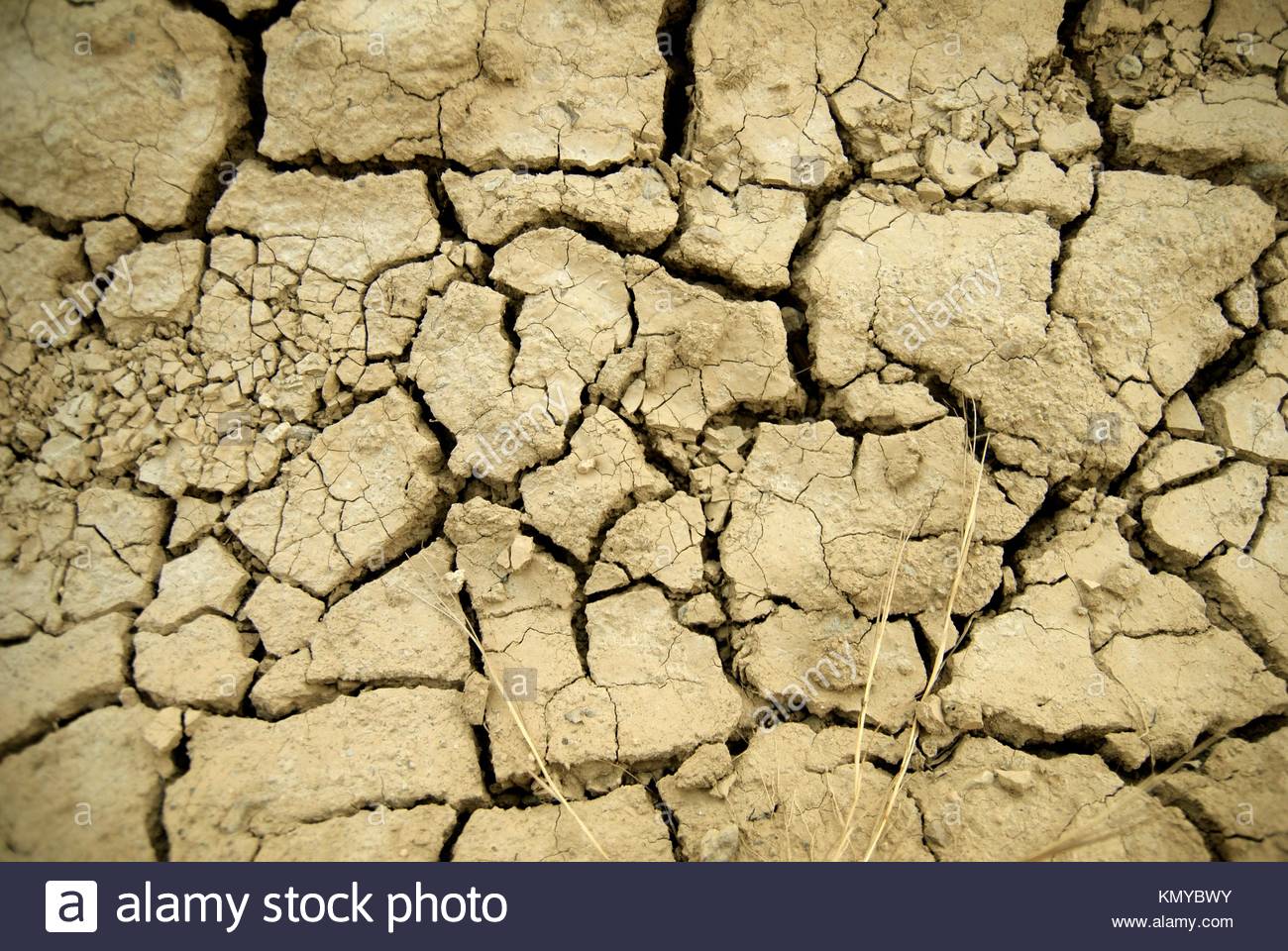 Loamy Soil Stock Photos & Loamy Soil Stock Images - Alamy