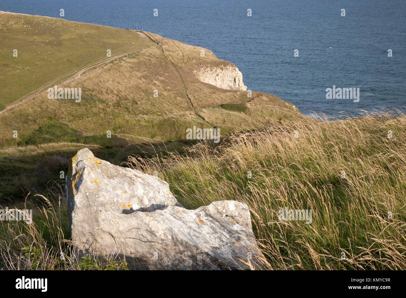 Scene from Coastal Footpath on Jurassic Coast, Isle of Purbeck near ...