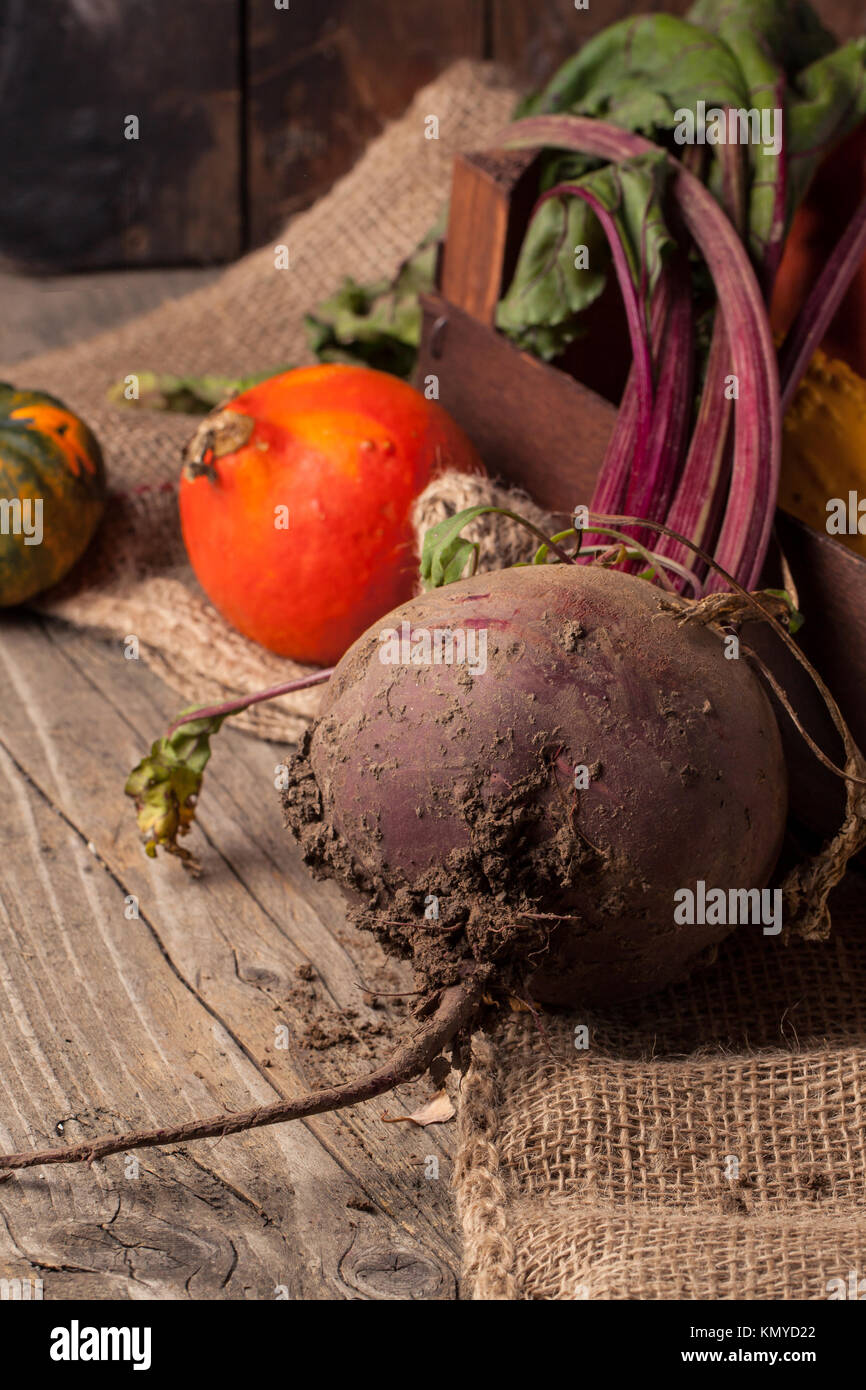 Pumpkins and fresh beetroot on old wooden table with sackcloth Stock ...