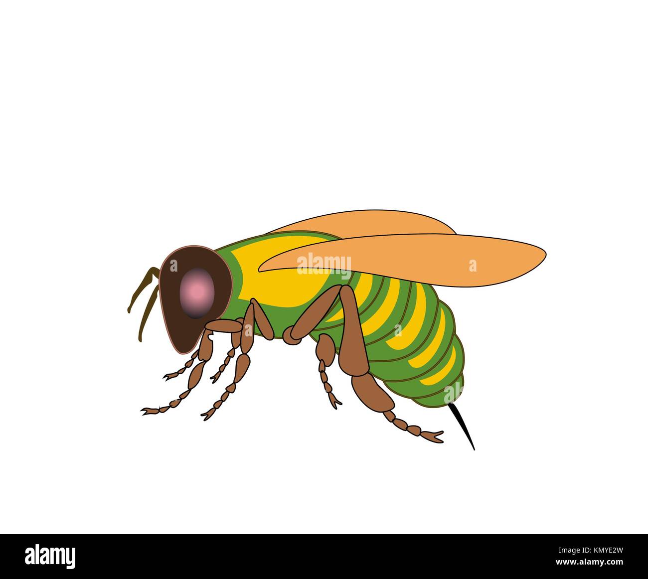 Cartoon illustration funny fly housefly hi-res stock photography and ...