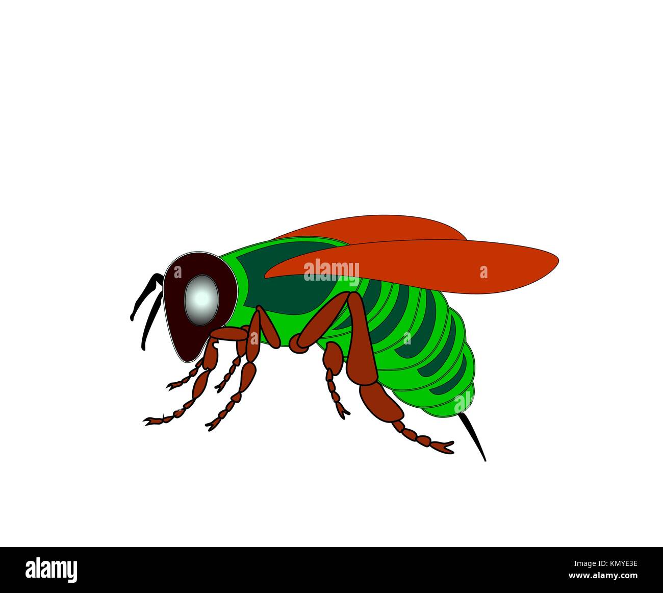 Cartoon illustration funny fly housefly hi-res stock photography and ...