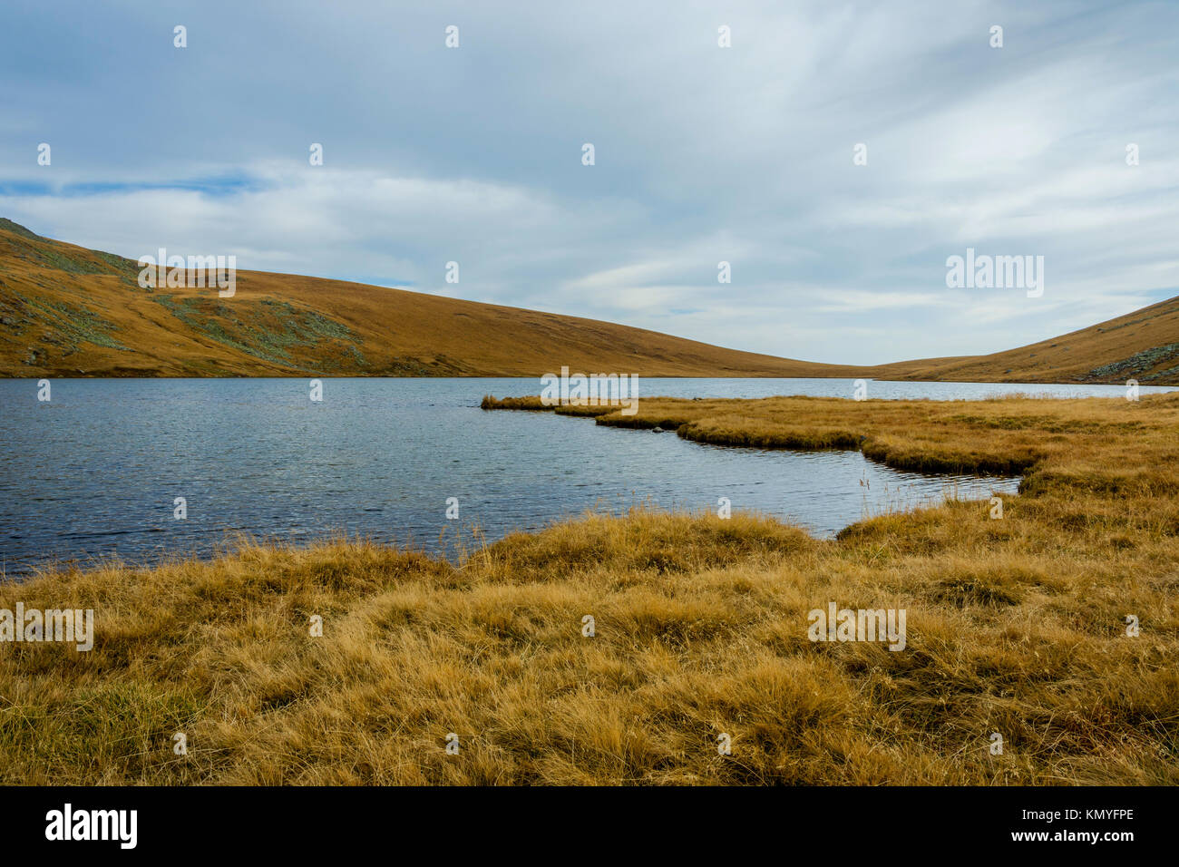 Black grass border hi-res stock photography and images - Alamy