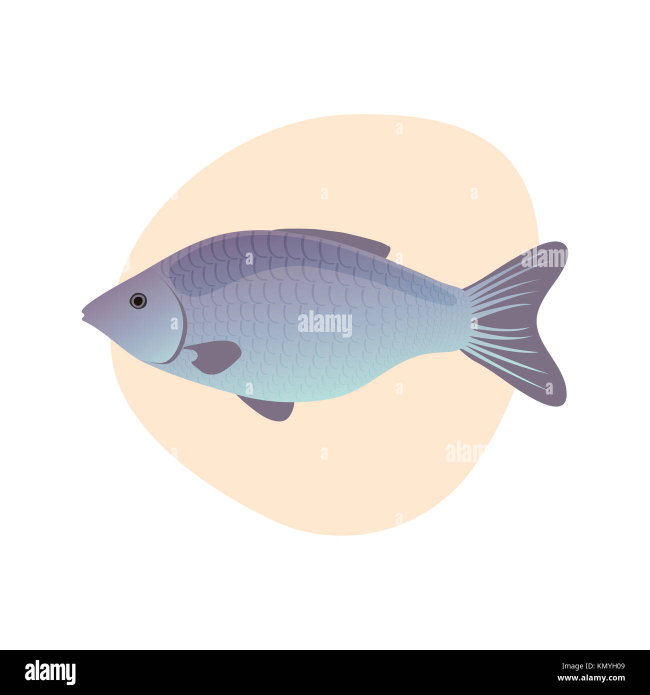 Vector illustration of cartoon fish isolated Stock Photo - Alamy