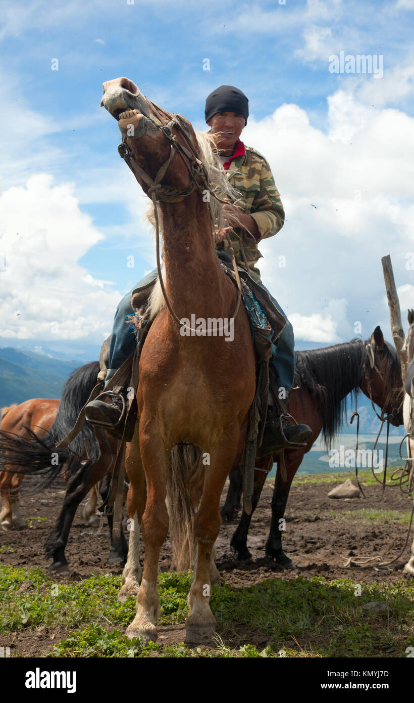 Mongolian herdsman on horseback Stock Photo - Alamy