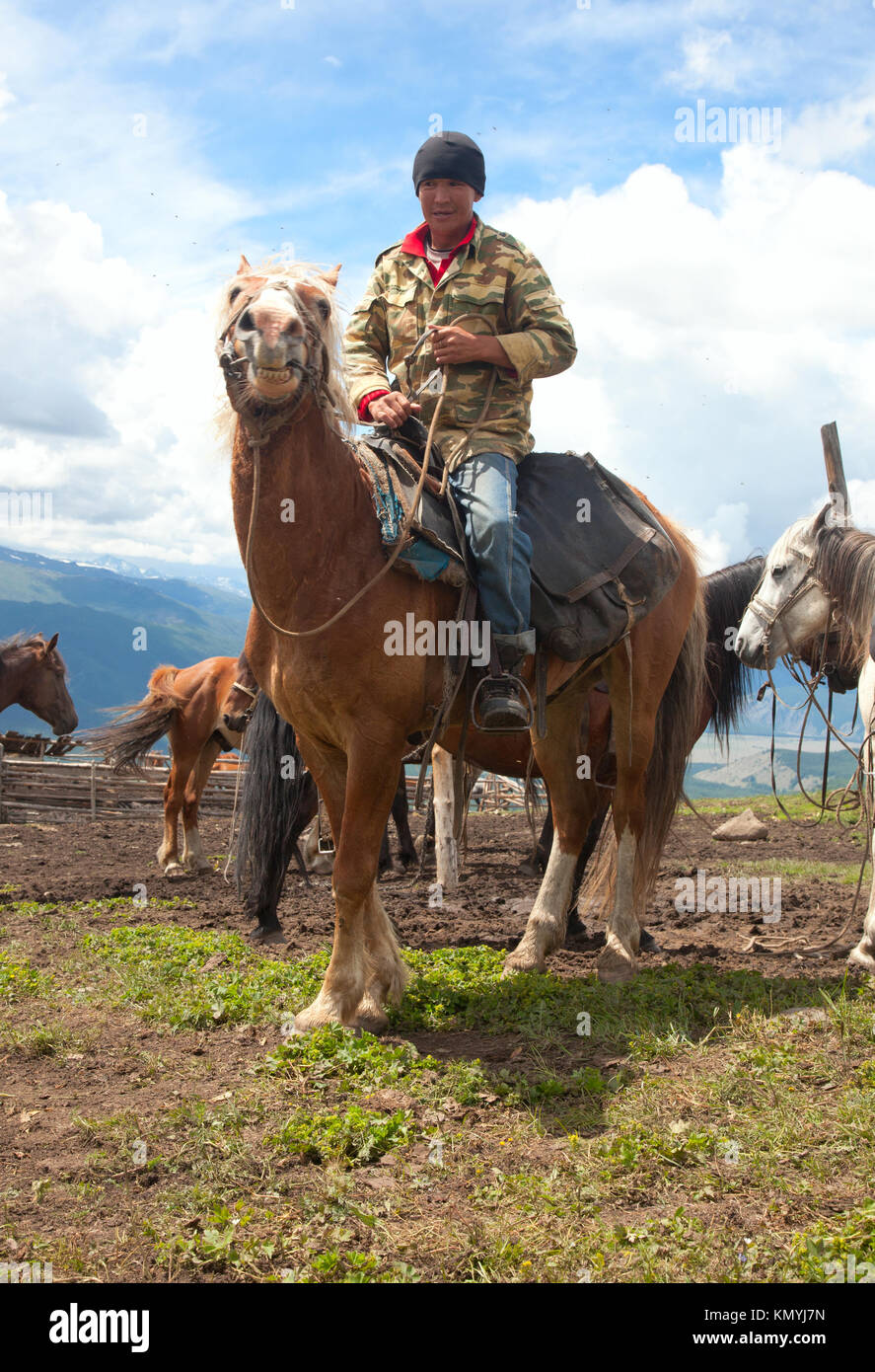 Mongolian herdsman on horseback Stock Photo - Alamy