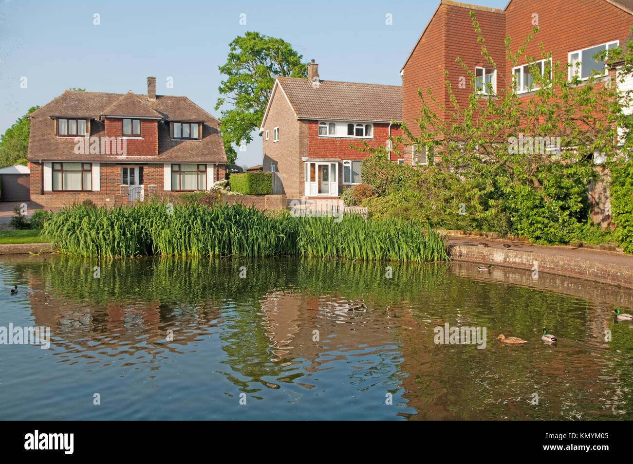 Lingfield hi-res stock photography and images - Alamy