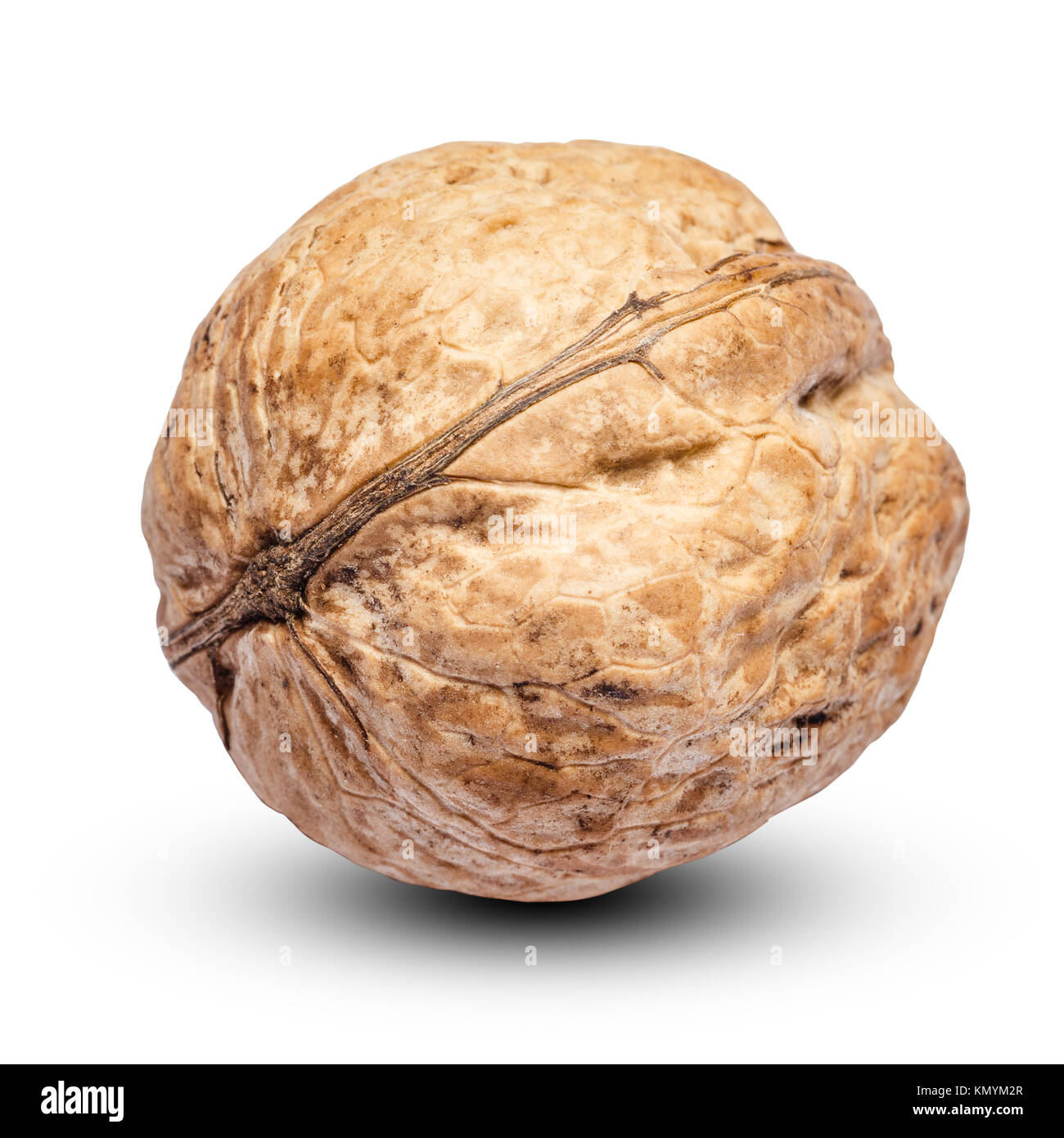 whole walnut isolated on white background. clipping path Stock Photo ...