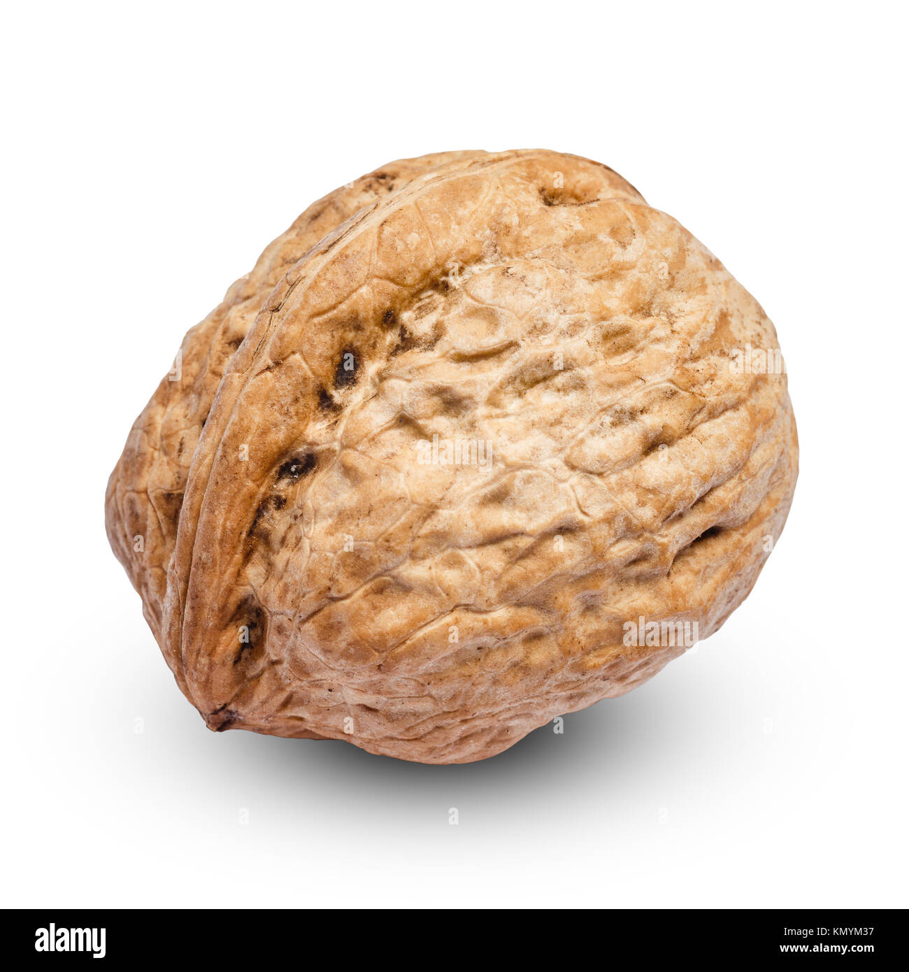 whole walnut isolated on white background. clipping path Stock Photo ...