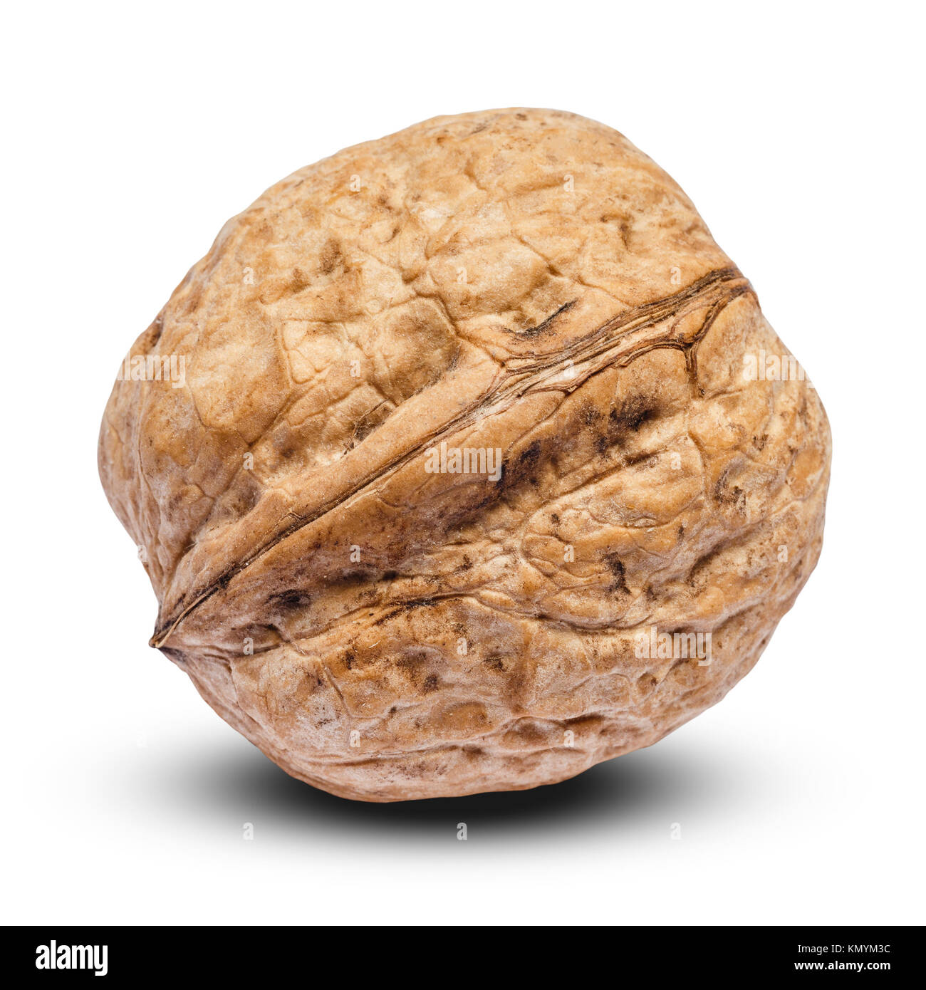 whole walnut isolated on white background. clipping path Stock Photo ...