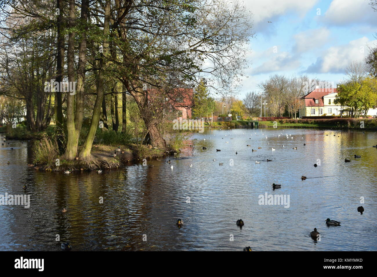 Rumia poland hi-res stock photography and images - Alamy