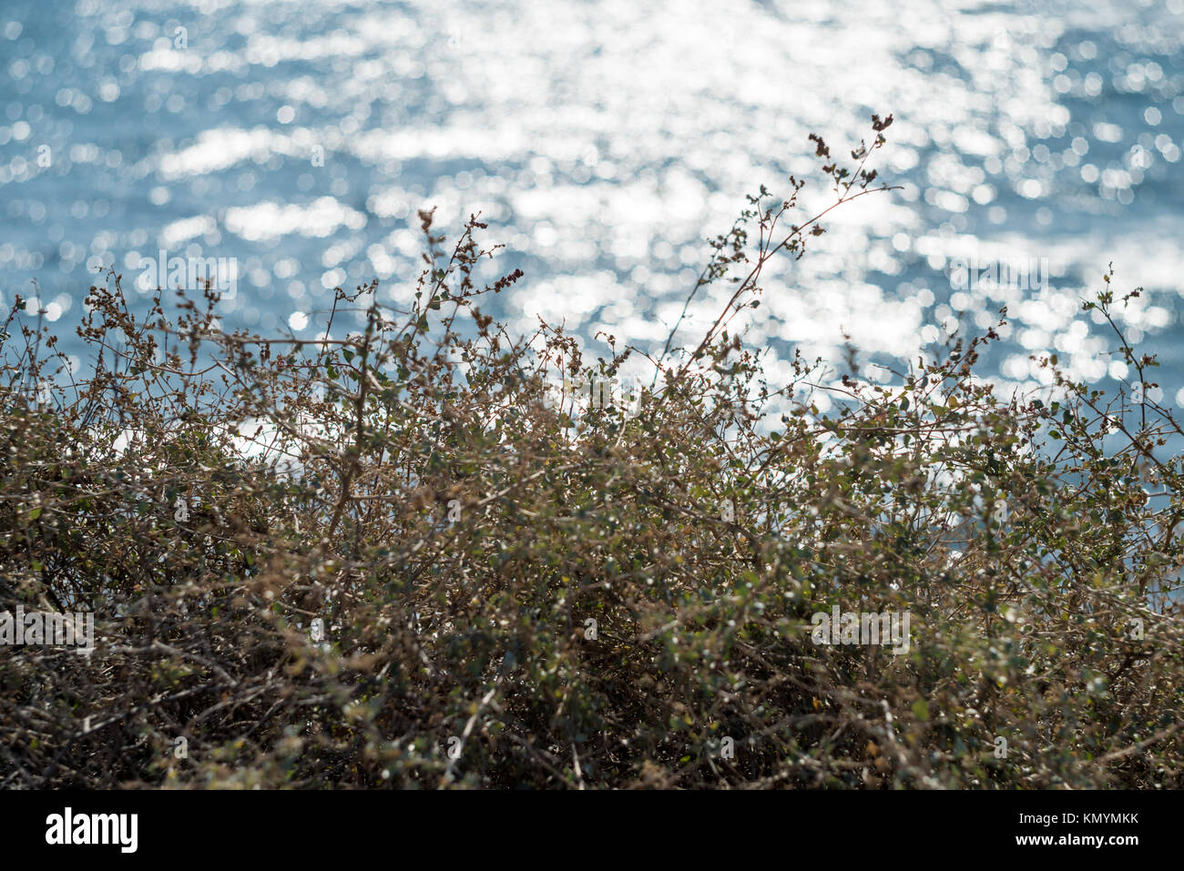 Beautiful sea view of the Mediterranean sea in bright sun light Stock ...