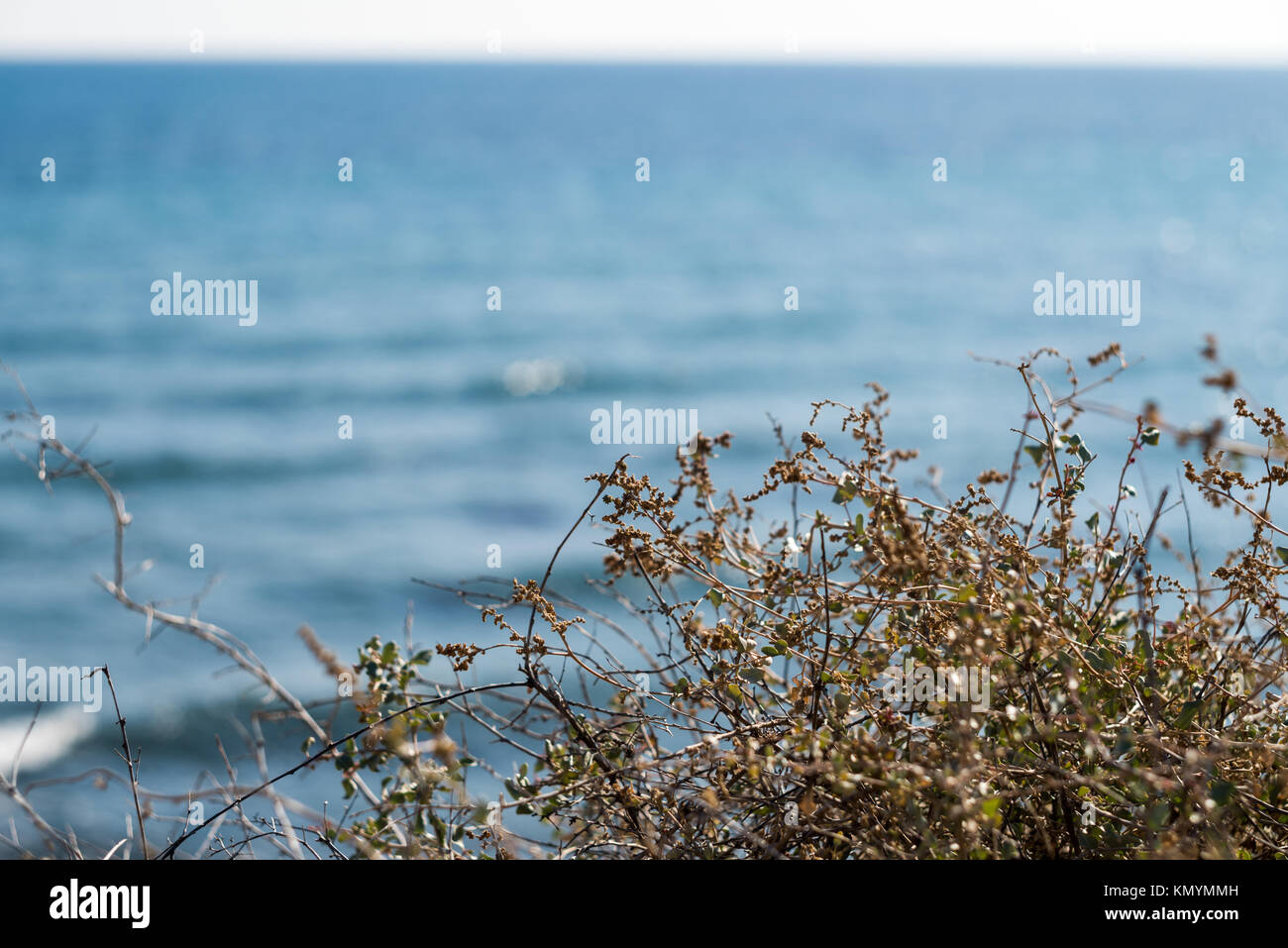Beautiful sea view of the Mediterranean sea in bright sun light Stock ...