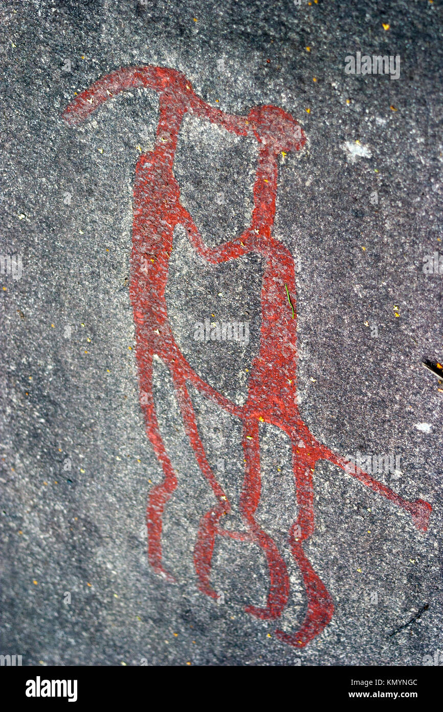 Rock carvings in Tanum Stock Photo - Alamy