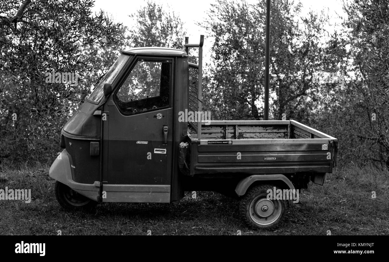 Classic ape Black and White Stock Photos & Images - Alamy