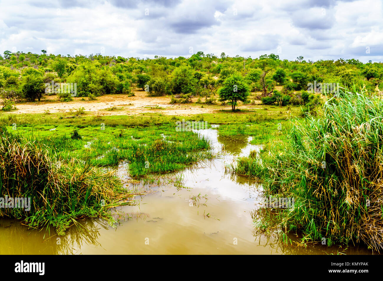 Landscape along the Olifants River near Kruger Park and Phalaborwa on ...
