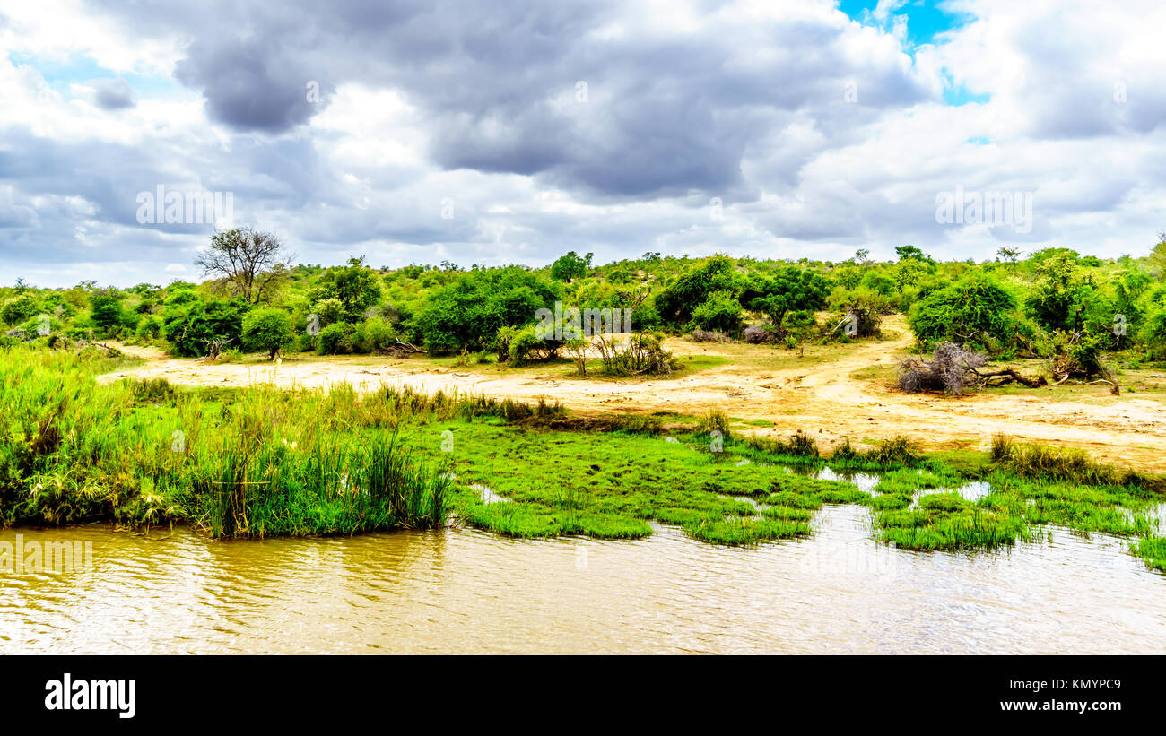 Landscape along the Olifants River near Kruger Park and Phalaborwa on ...