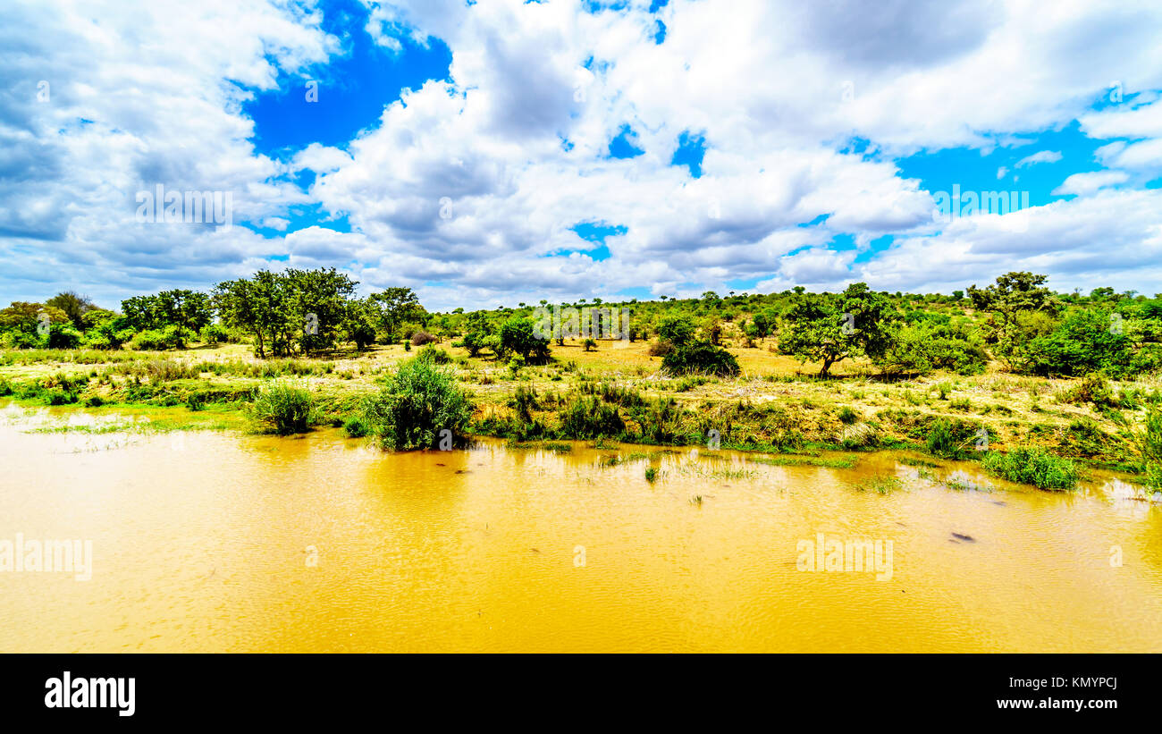 Landscape along the Olifants River near Kruger Park and Phalaborwa on ...