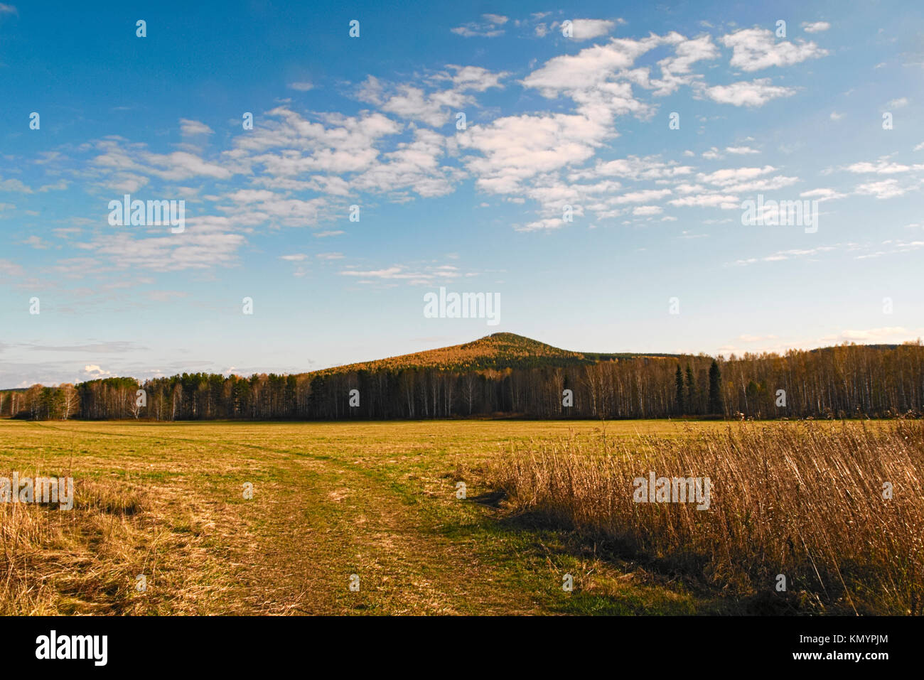 Autumn landscape sloping meadow on a background of forest and mountains ...