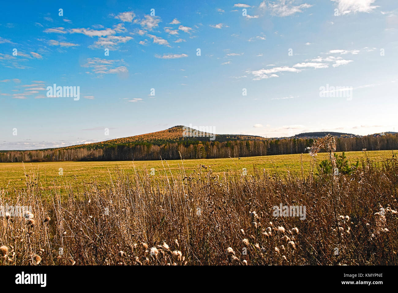 Autumn landscape sloping meadow on a background of forest and mountains ...