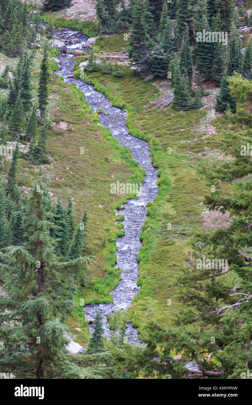 Meandering river flowing through green hi-res stock photography and ...