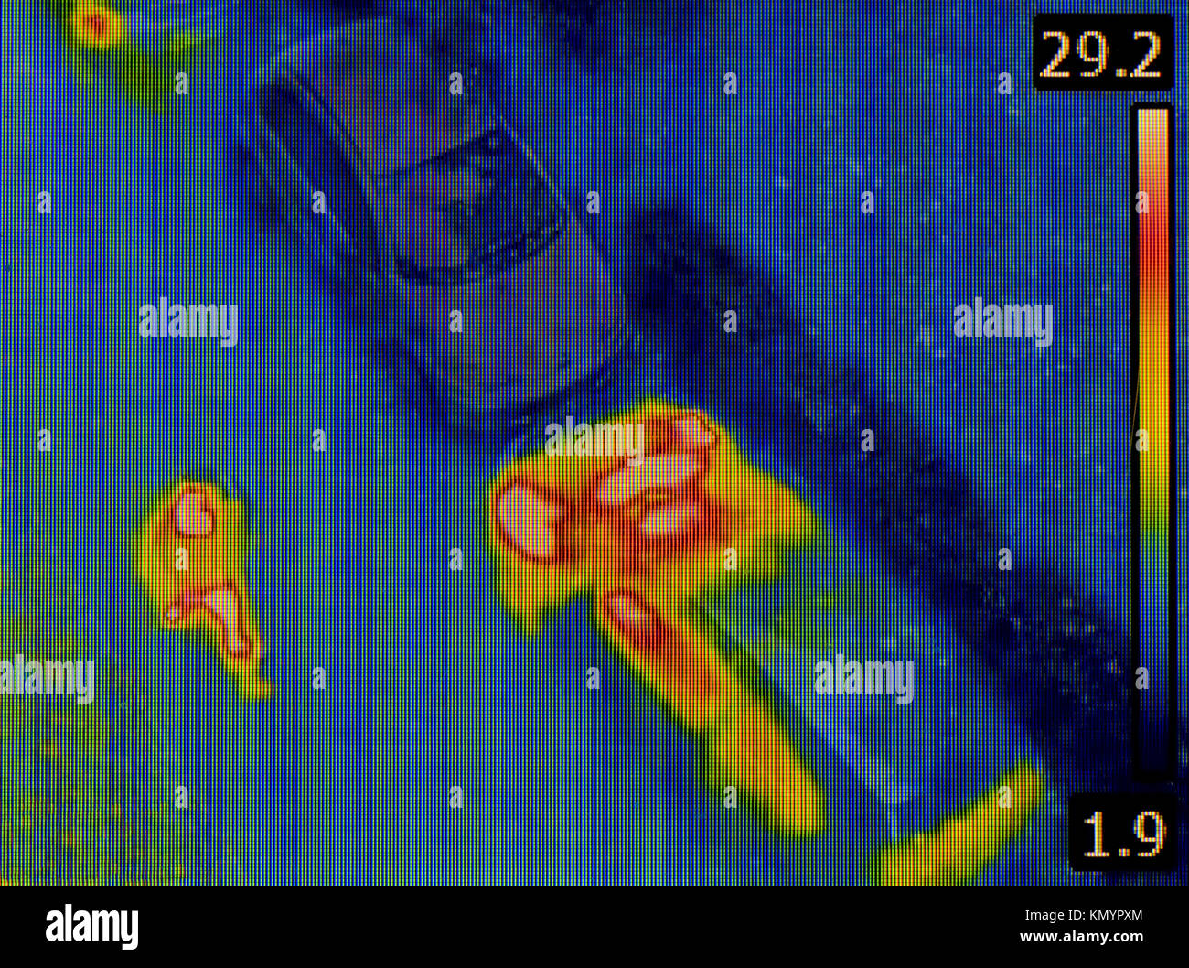 Thermography display hi-res stock photography and images - Alamy