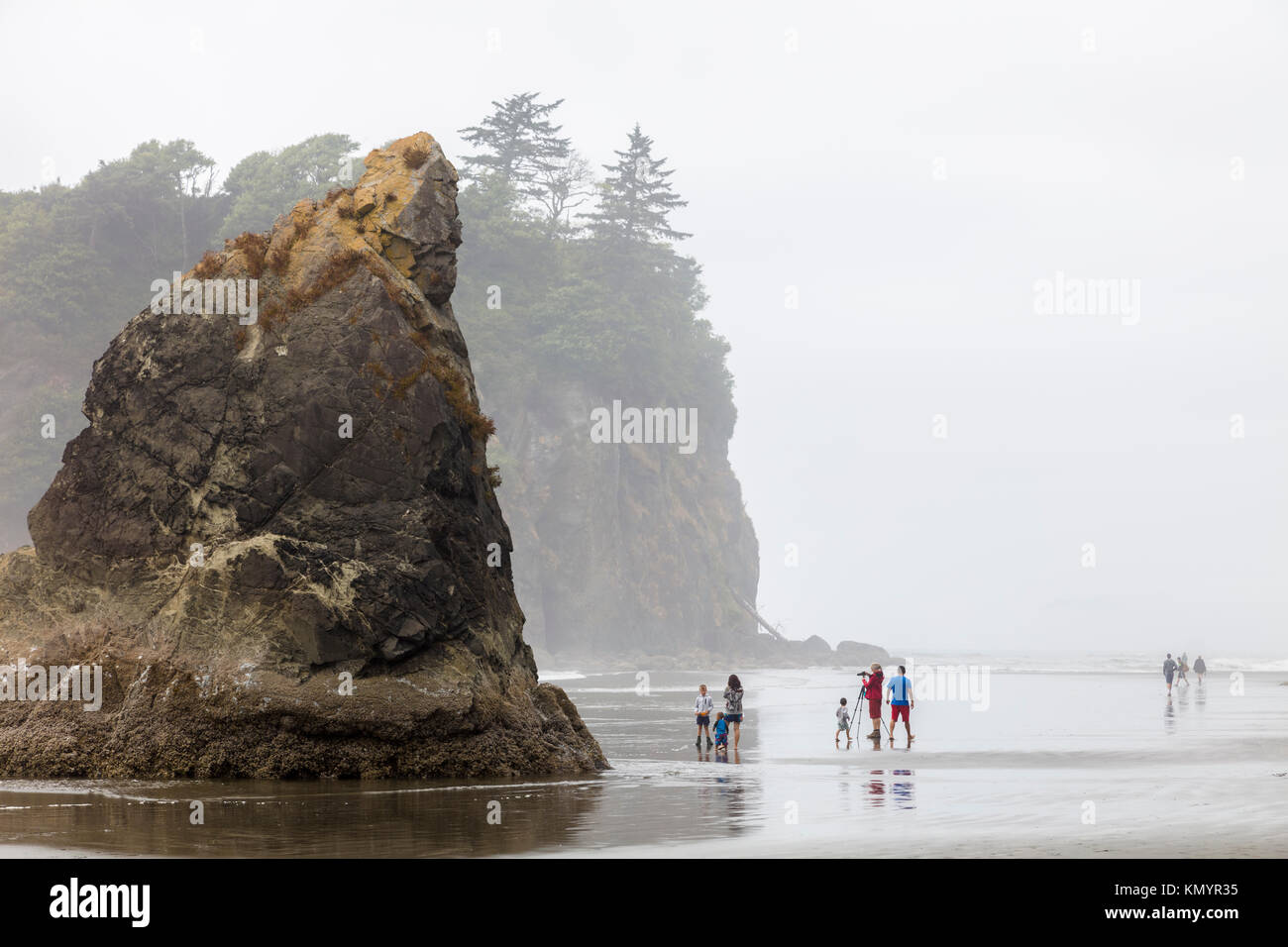 Ruby Beach on the Pacific Ocean in Olypmic National Park in Washington ...